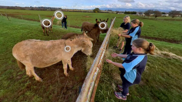 Virtual Farm Tours - Interactive Virtual Tours - FarmVR