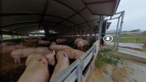 Virtual Farm Tours - Interactive Virtual Tours - FarmVR