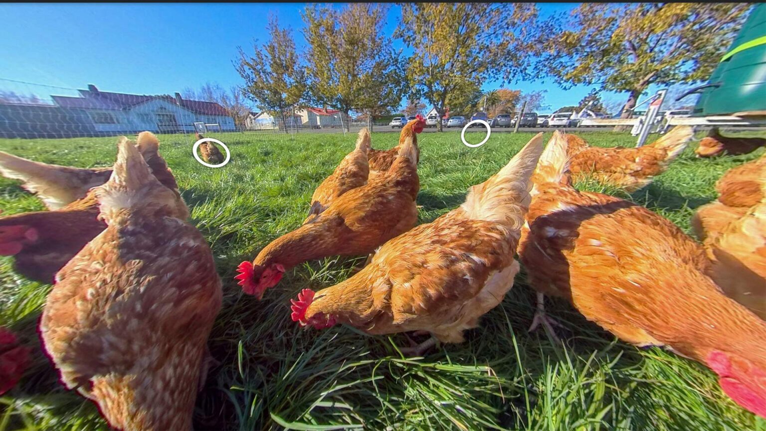 Virtual Farm Tours - Interactive Virtual Tours - FarmVR